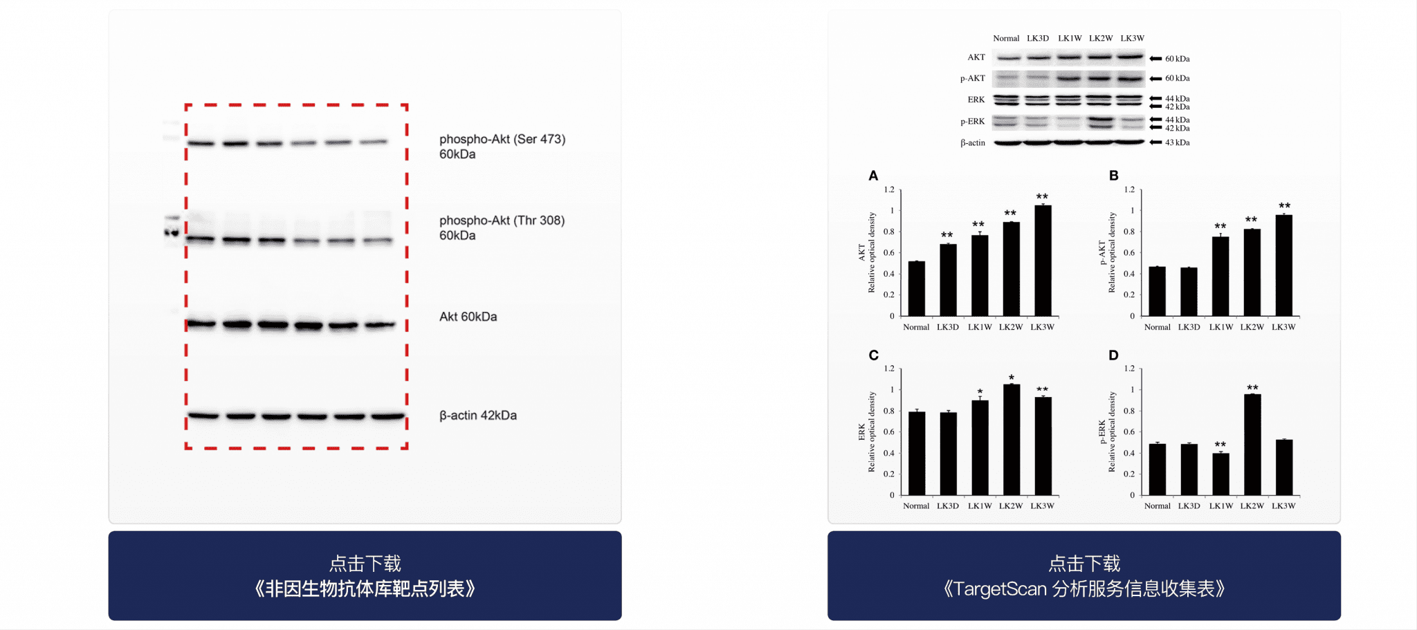 TargetScan 技术服务 – 非因生物