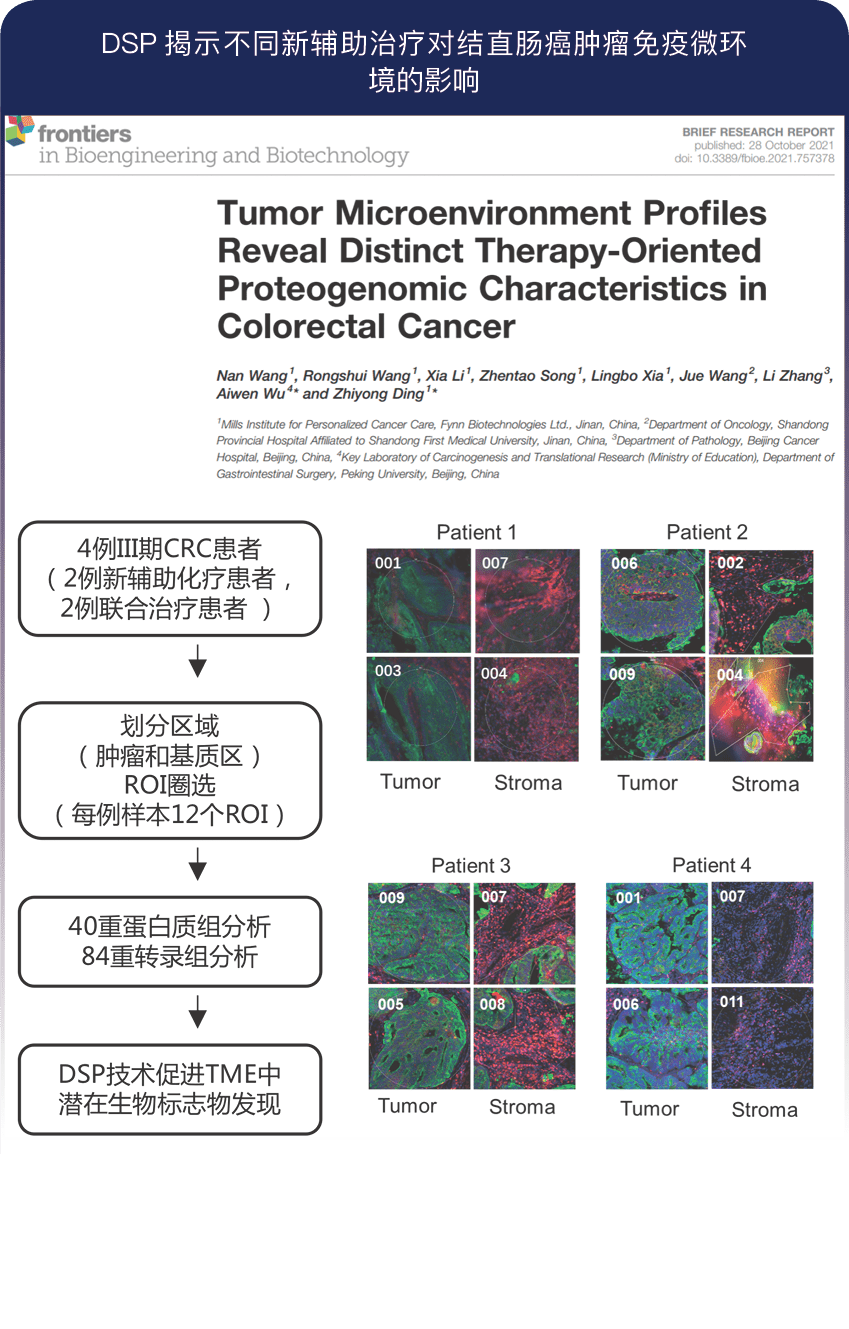 DSP技术服务 – 非因生物