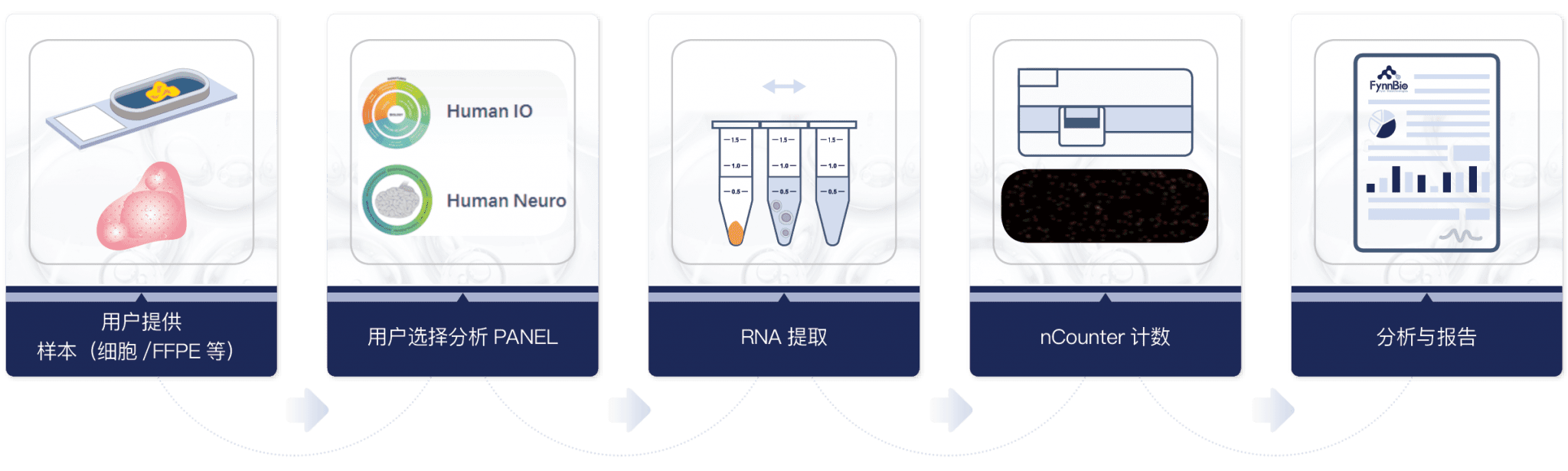 ncounter技术服务 – 非因生物