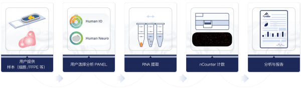 ncounter技术服务 – 非因生物