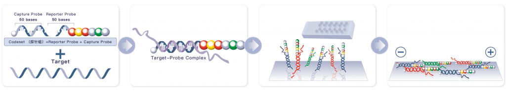 ncounter技术服务 – 非因生物