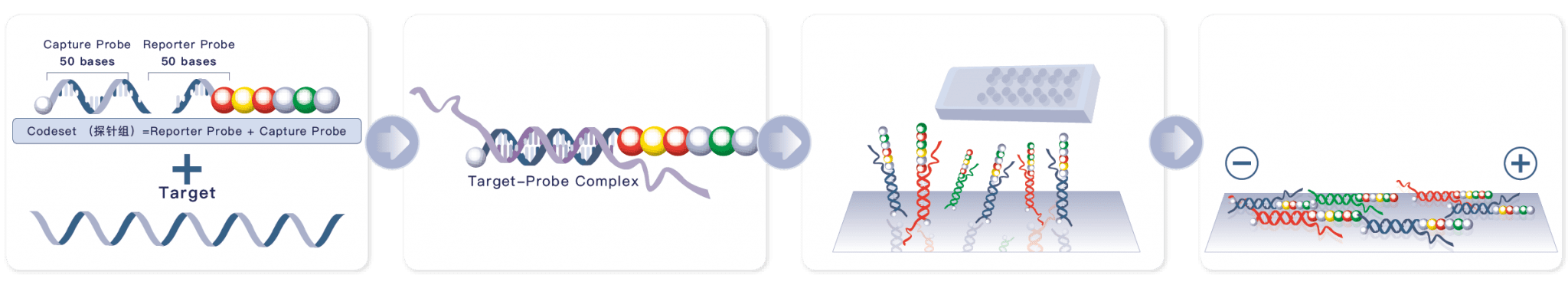 ncounter技术服务 – 非因生物