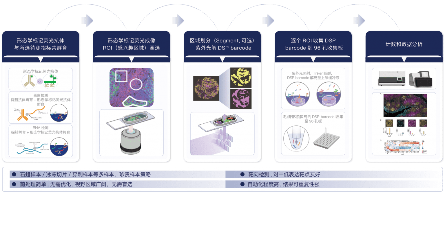 DSP技术服务 – 非因生物