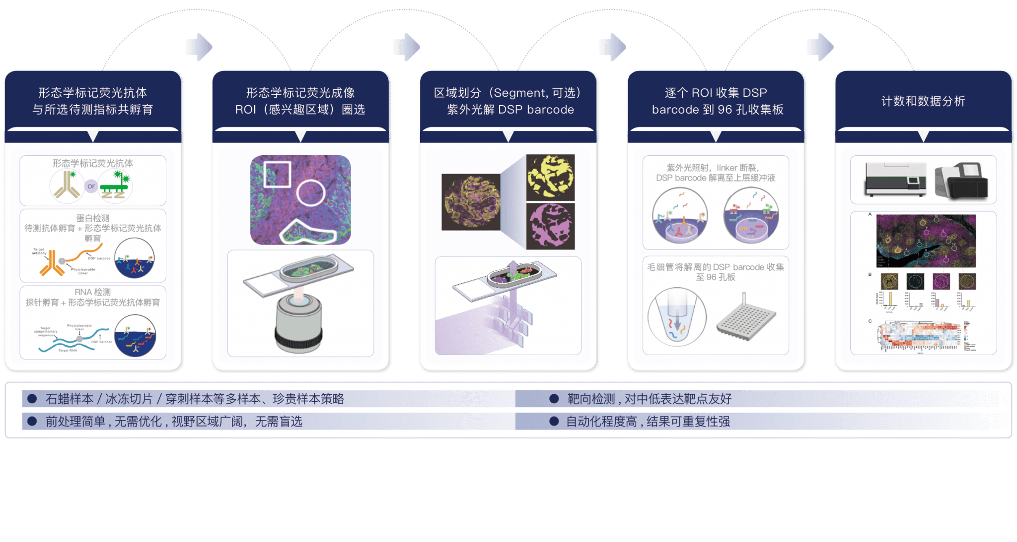 Dsp技术服务 非因生物