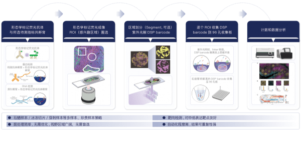 DSP技术服务 – 非因生物