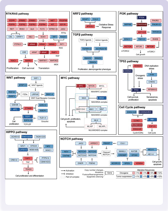 RPPA技术服务 – 非因生物